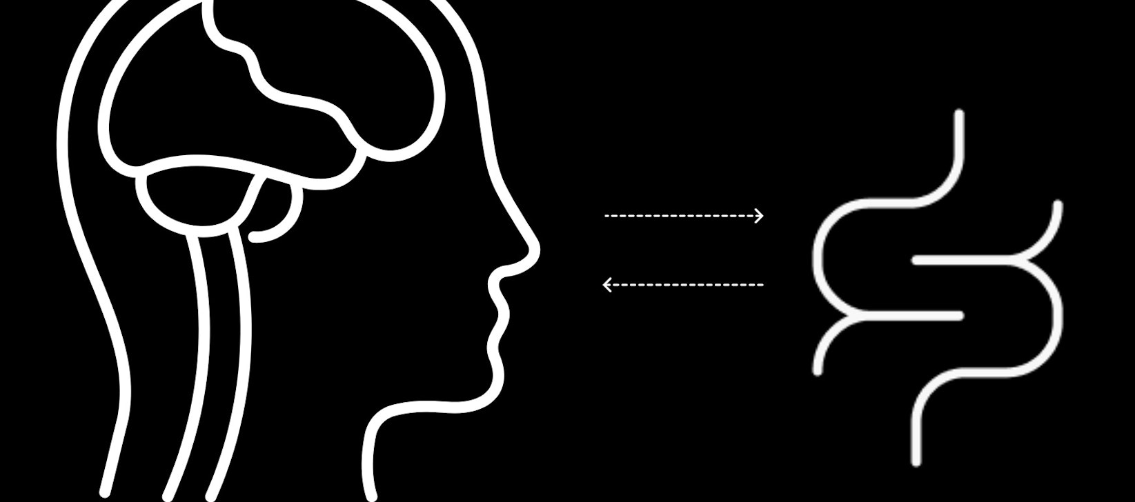 The Gut Brain Connection Ethos